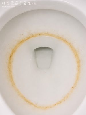 馬桶清潔劑推薦：11款PTT好評神器，輕鬆告別尿垢、黴菌與異味 - 琪樂無窮美食生活